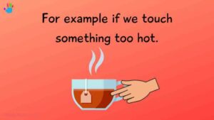 Skin facts for kids (Learn about Skin) – Kids Learning Pod