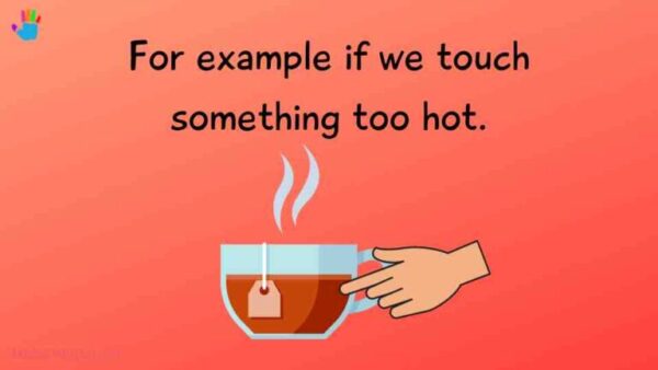 Skin facts for kids (Learn about Skin) – Kids Learning Pod