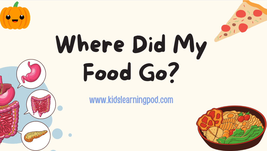 Human Digestive System: Food into Fuel – Kids Learning Pod